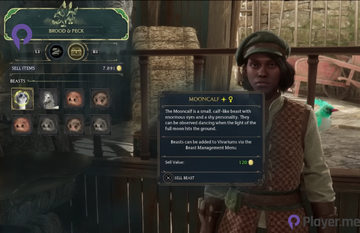 hogwarts legacy | how to earn money fast | harry potter