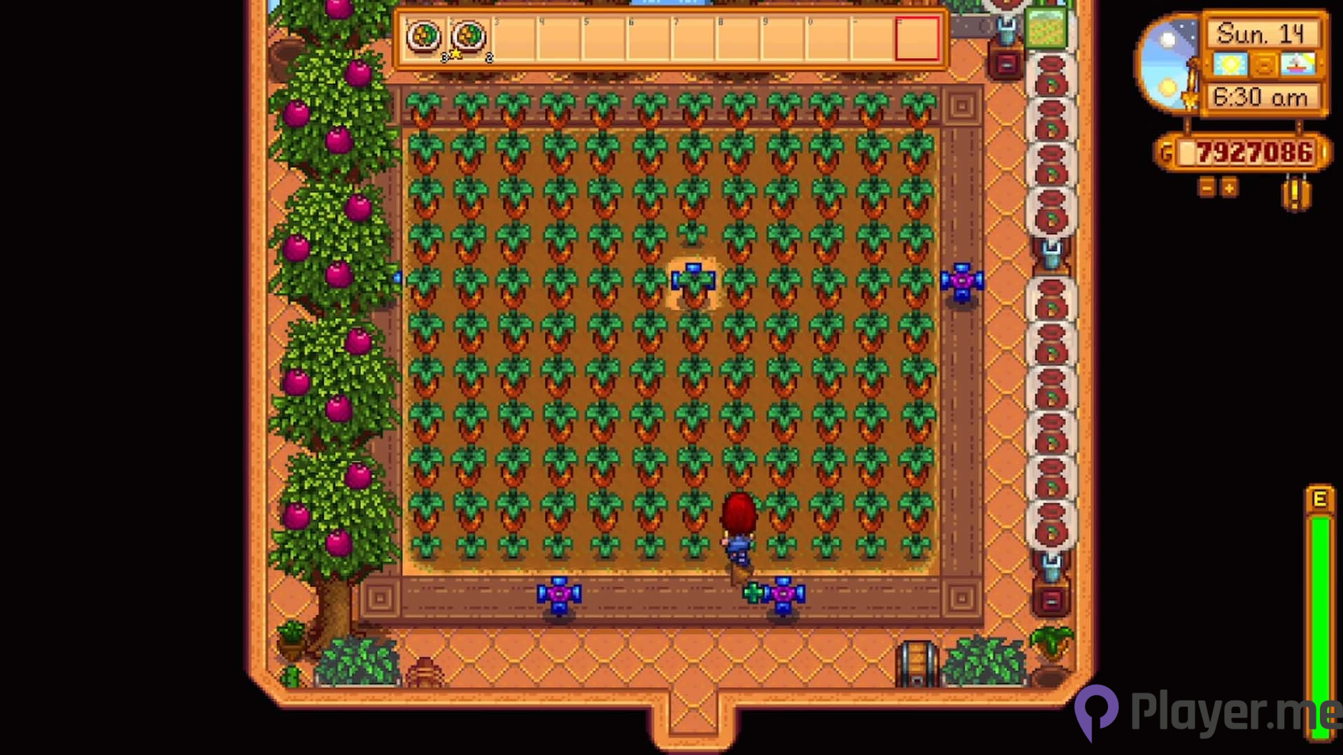 How To Easily Get Rare Seeds in Stardew Valley? - Player.me